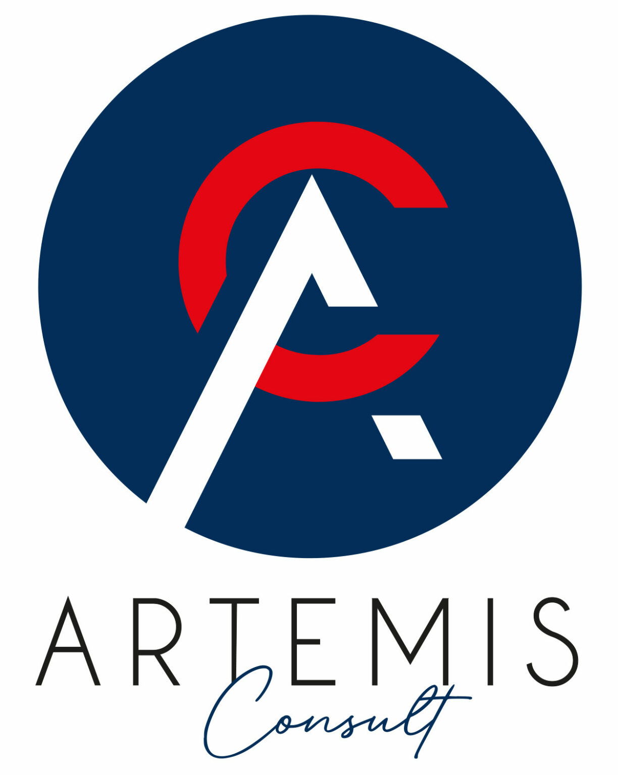 Déclaration d'impôts en 2024, ce qu'il faut savoir - Artemis Consult